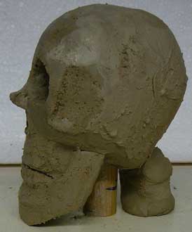 Der Kopf als Modell und Skulptur